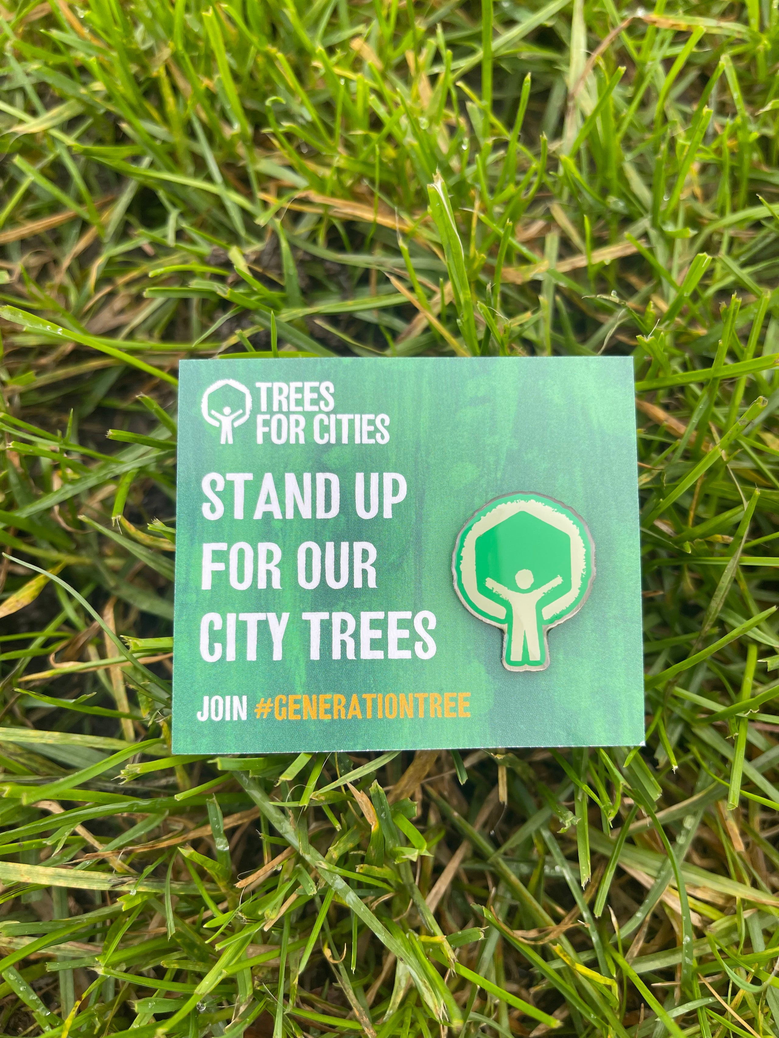Trees for Cities Pin Badge | Trees for Cities Webshop